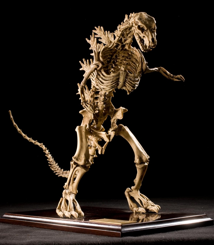 Godzilla (1954) - The Doctor's Model Mansion