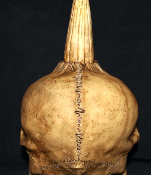 Cyclops Skull - The Doctor's Model Mansion