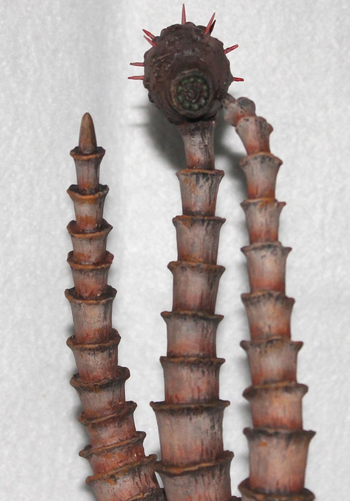 The Day of the Triffids (1962) - The Doctor's Model Mansion